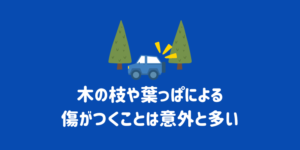 車に木の枝や葉っぱで傷がついた！修理方法や修理代まで解説 | ENEOSウイング サービスマガジン