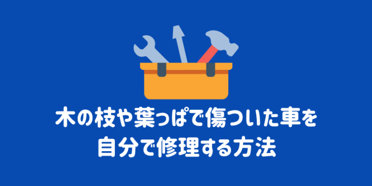 車に木の枝や葉っぱで傷がついた！修理方法や修理代まで解説 | ENEOSウイング サービスマガジン