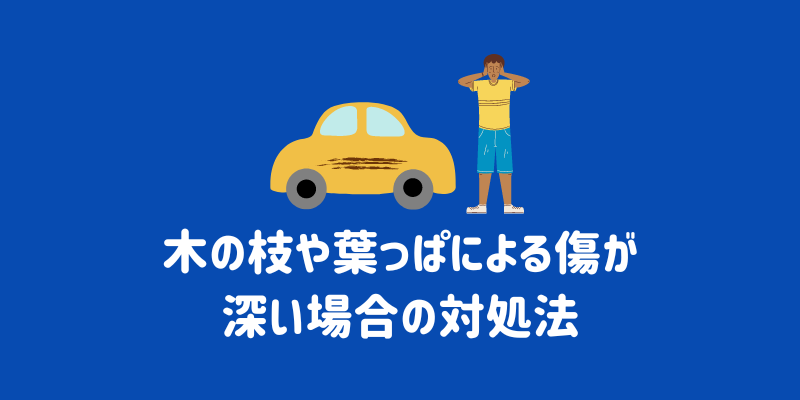 車に木の枝や葉っぱで傷がついた！修理方法や修理代まで解説 | ENEOSウイング サービスマガジン